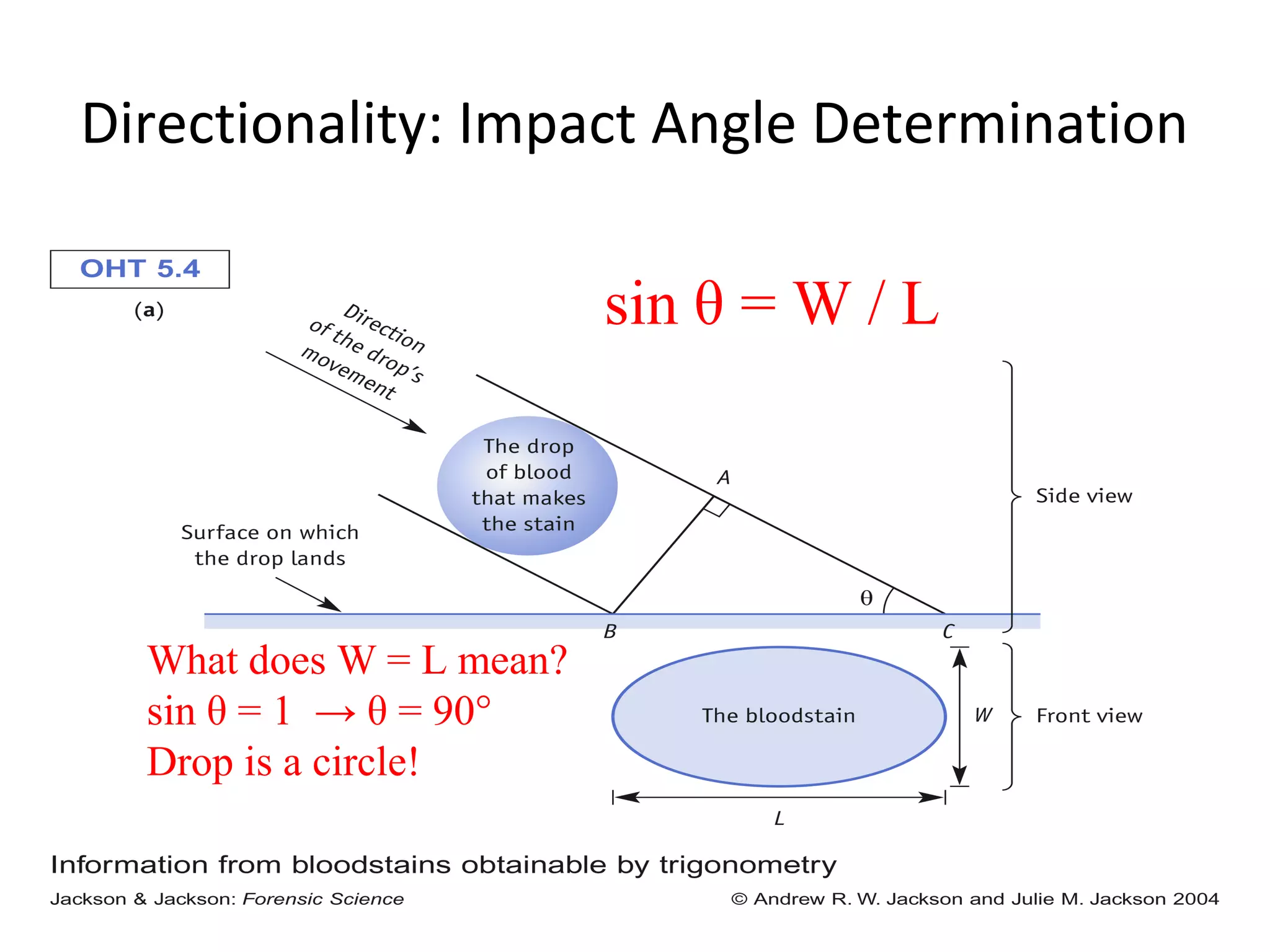 Blood Spatters Analysis | PPT