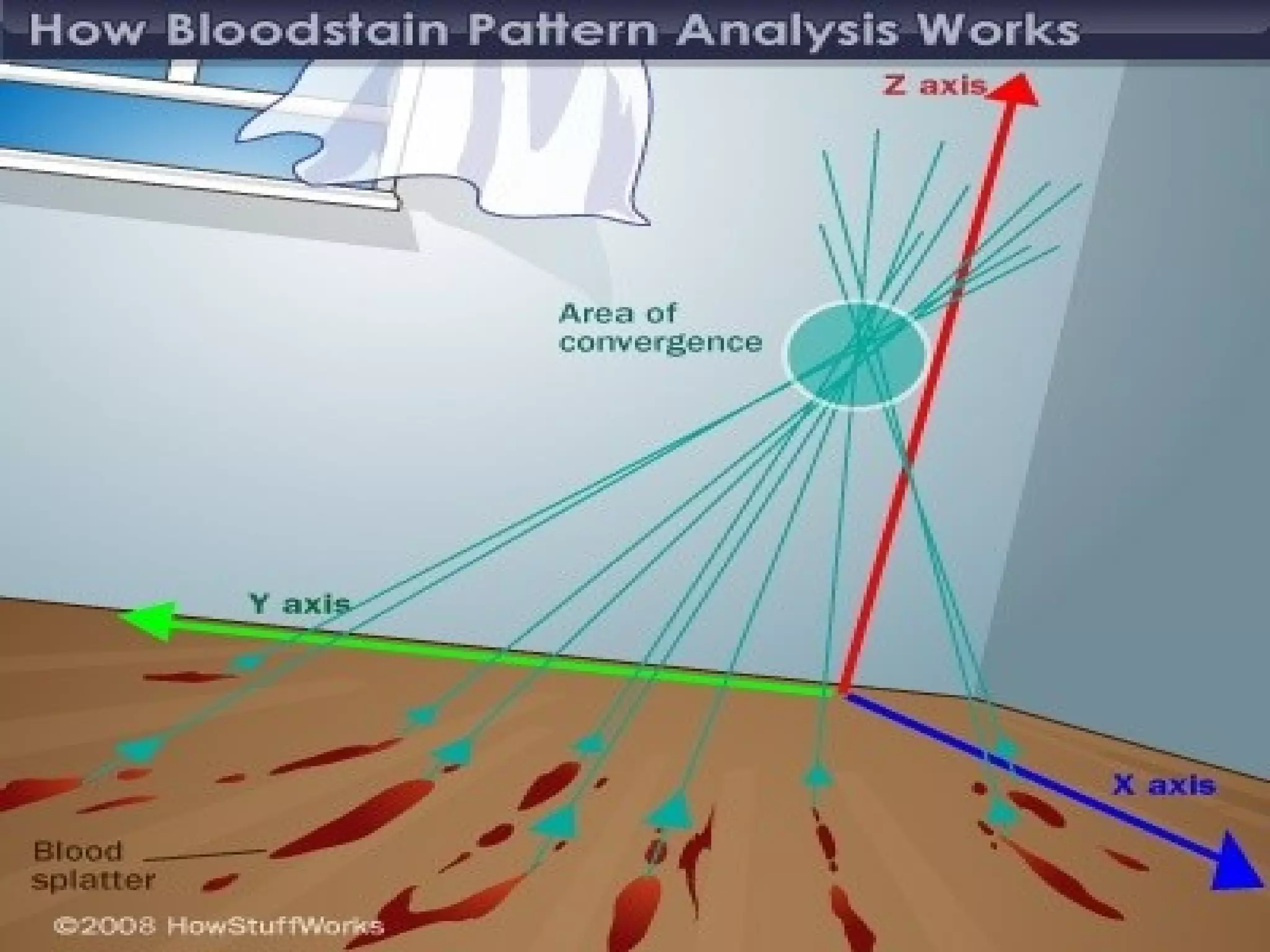 Blood Spatters Analysis | PPT