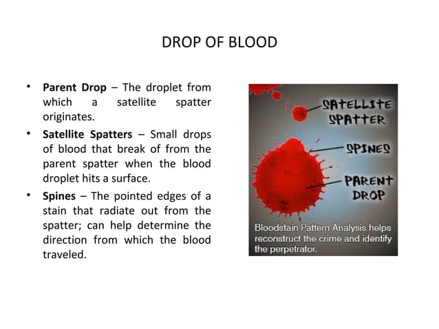 Blood Spatters Analysis | PPT | Chemistry | Science