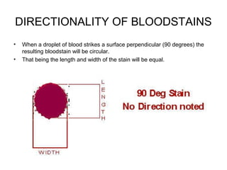 Blood Spatters Analysis | PPT