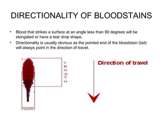 Blood Spatters Analysis | PPT