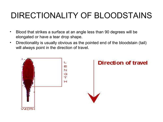 Blood Spatters Analysis | PPT | Chemistry | Science