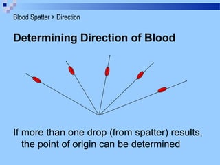 Blood splatter informational power point | PPT