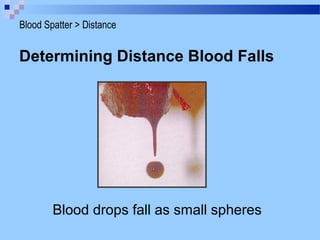 Blood Drops Falling
