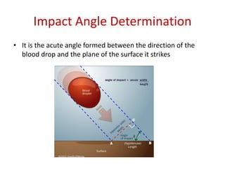 Blood stain pattern analysis | PPT
