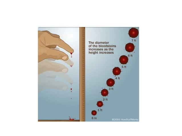 Blood stain pattern analysis | PPT | Blood Disorders | Diseases and ...