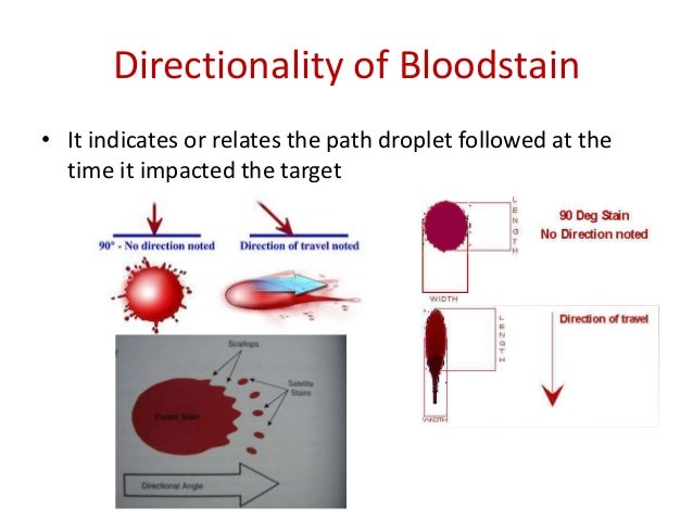 Blood stain pattern analysis Blood stain pattern analysis