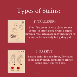 Bloodstain pattern analysis | PDF