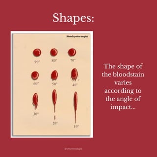 Bloodstain pattern analysis | PDF