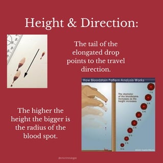 Bloodstain pattern analysis | PDF