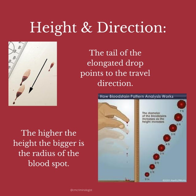 Bloodstain pattern analysis | PDF