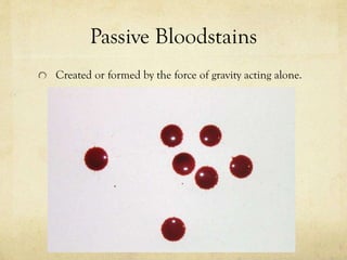 BloodstainPatternAnalysisINFORENSICS.pdf