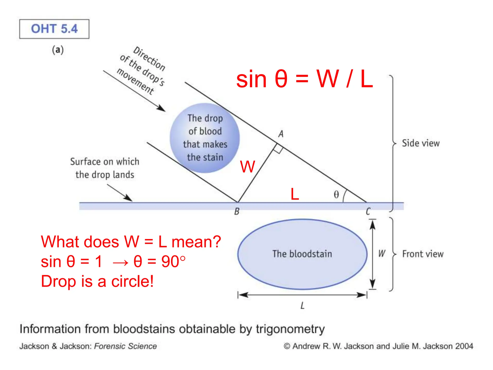 Bloodstain Pattern Analysis (CS-AAPT).ppt