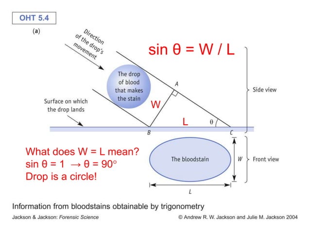 Bloodstain Pattern Analysis (CS-AAPT).ppt