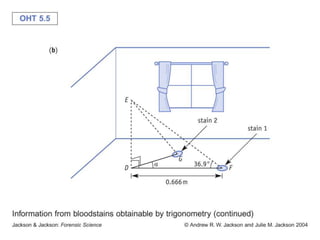 Bloodstain Pattern Analysis (CS-AAPT).ppt | Physics | Science