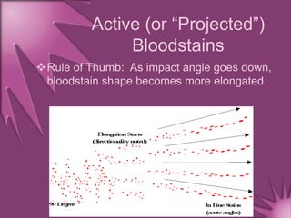 Bloodstain Pattern Analysis (CS-AAPT).ppt | Physics | Science