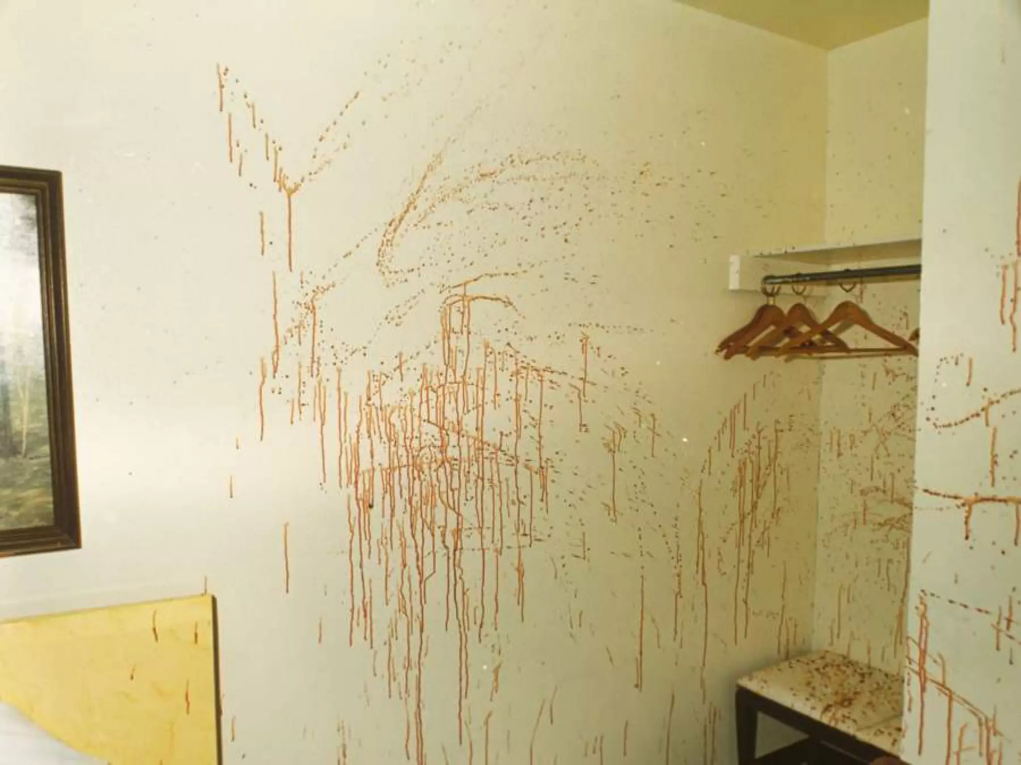 Bloodstain pattern interpretation | PPTX