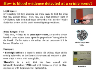 Blood Stain Science | PPT