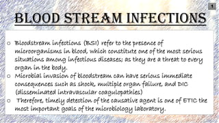 Blood stream infection , department of microbiology | PDF