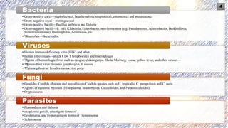 Blood stream infection , department of microbiology | PDF
