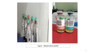 Bloodstream infection caused by bacterial pathogen | PPTX | Infectious ...