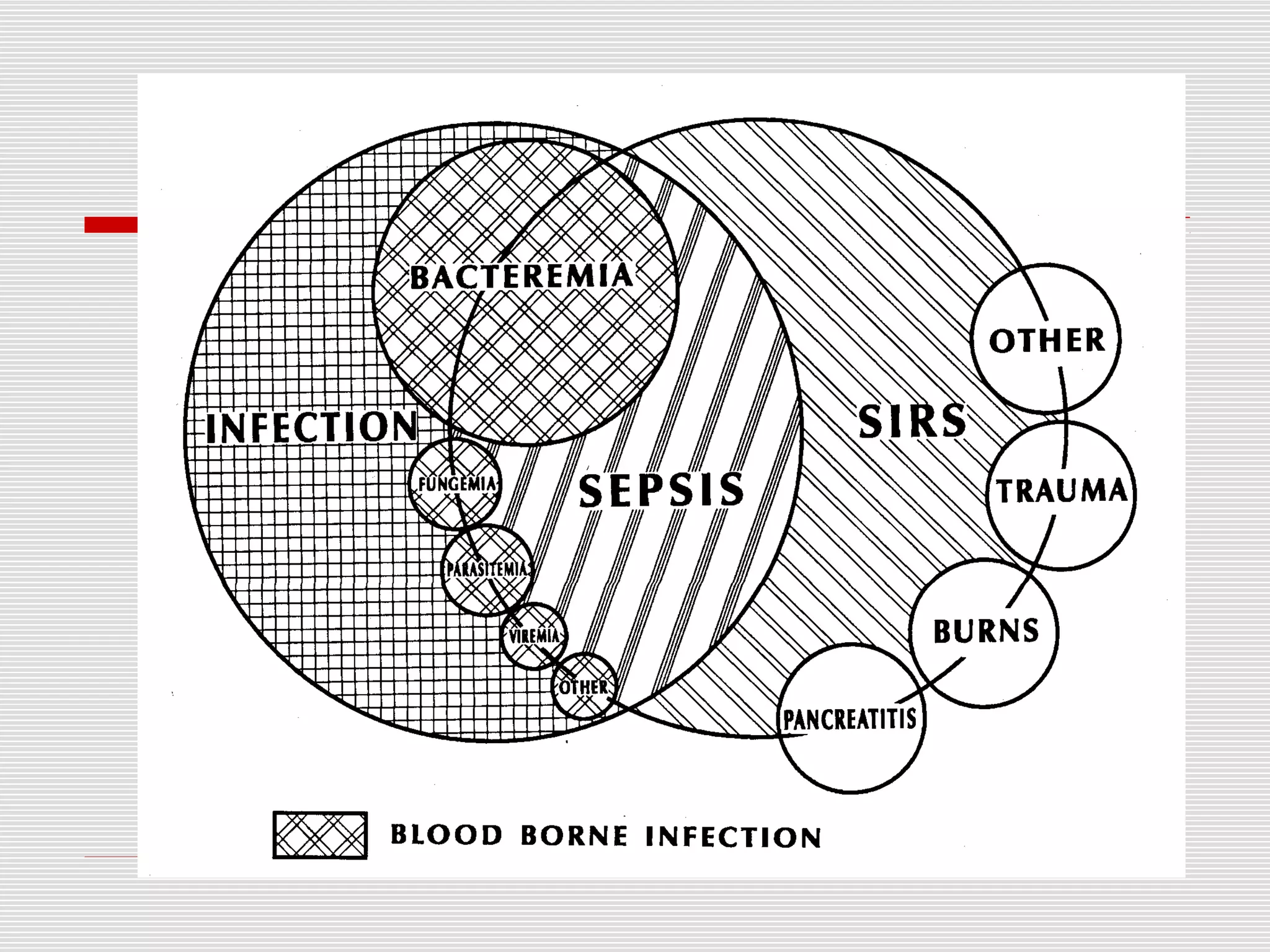 Blood stream infections | PPT
