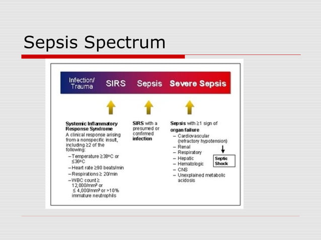Blood stream infections | PPT | Infectious Diseases | Diseases and ...