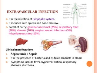 Blood stream infections- clinical microbiology | PPTX