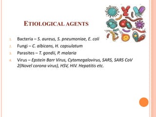 Blood stream infections- clinical microbiology | PPTX