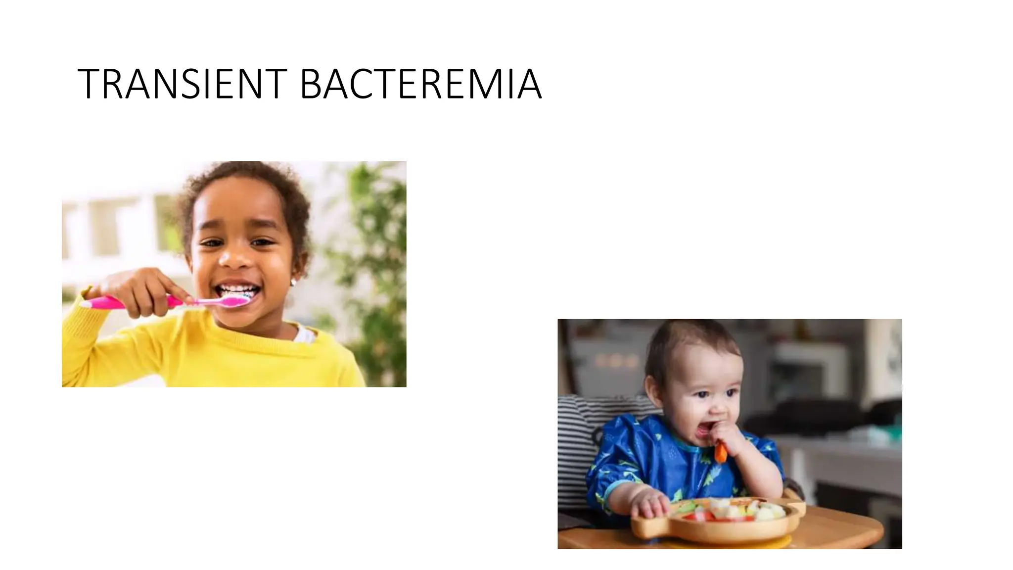 blood stream infections in microbiology CBME curriculum | PPTX
