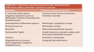 blood stream infections in microbiology CBME curriculum | PPTX
