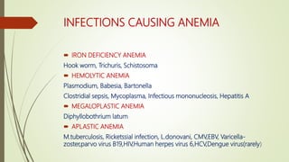 Bloodstream infections& infections causing anaemia | PPTX
