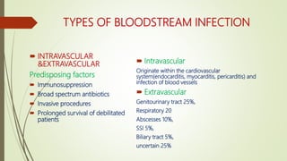 Bloodstream infections& infections causing anaemia | PPTX