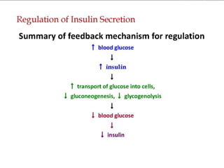 Blood sugar regulation | PPT