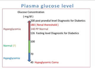 Blood sugar regulation | PPT