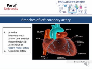 Blood supply of heart | PDF