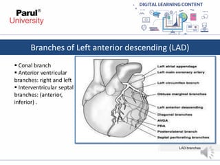 Blood supply of heart | PDF