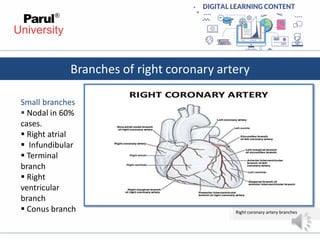 Blood supply of heart | PDF