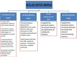 Blood supply n nerve supply of eye | PPTX