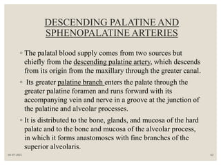 Blood supply and nerve supply to the permanent teeth | PPTX