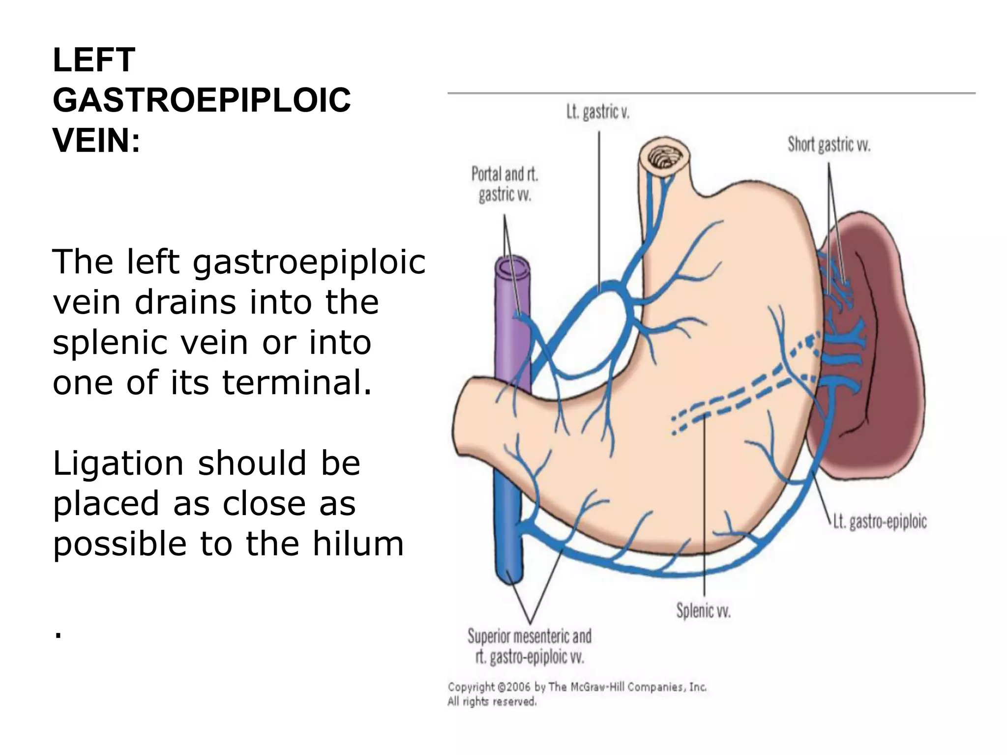 Blood supply and lymphatic drainage of stomach | PPTX