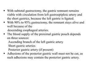 Blood supply and lymphatic drainage of stomach | PPTX