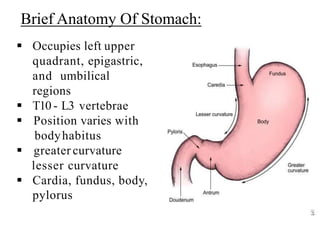 Blood supply and lymphatic drainage of stomach | PPTX