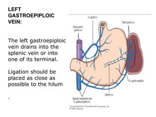 Venous Drainage Of Intestines