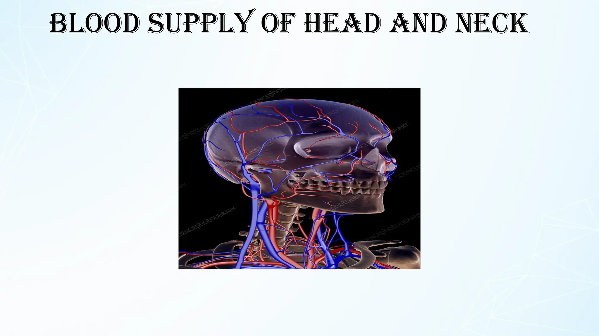 blood supply and lymphatic of head Neck.pptx