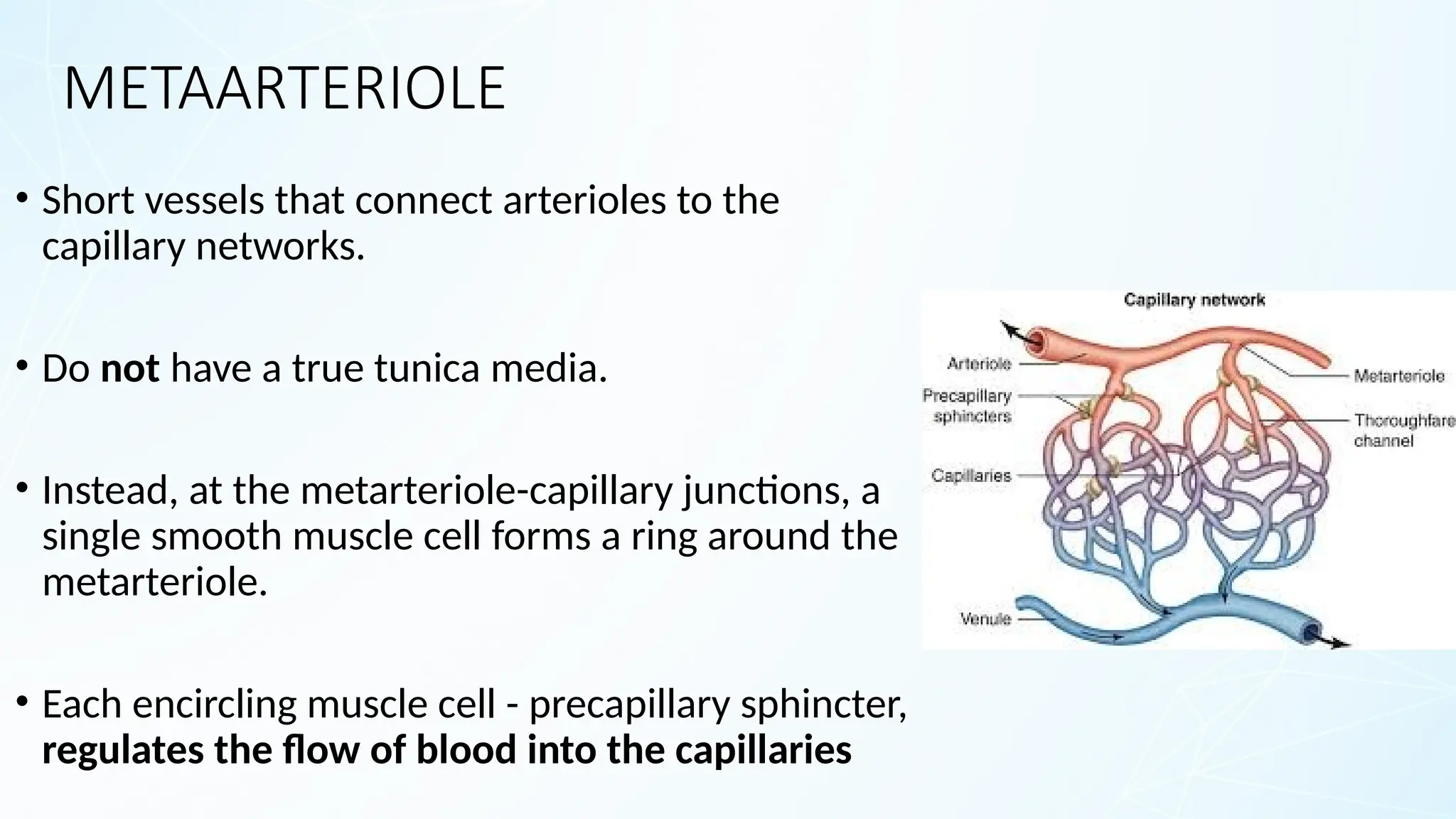 blood supply and lymphatic of head Neck.pptx