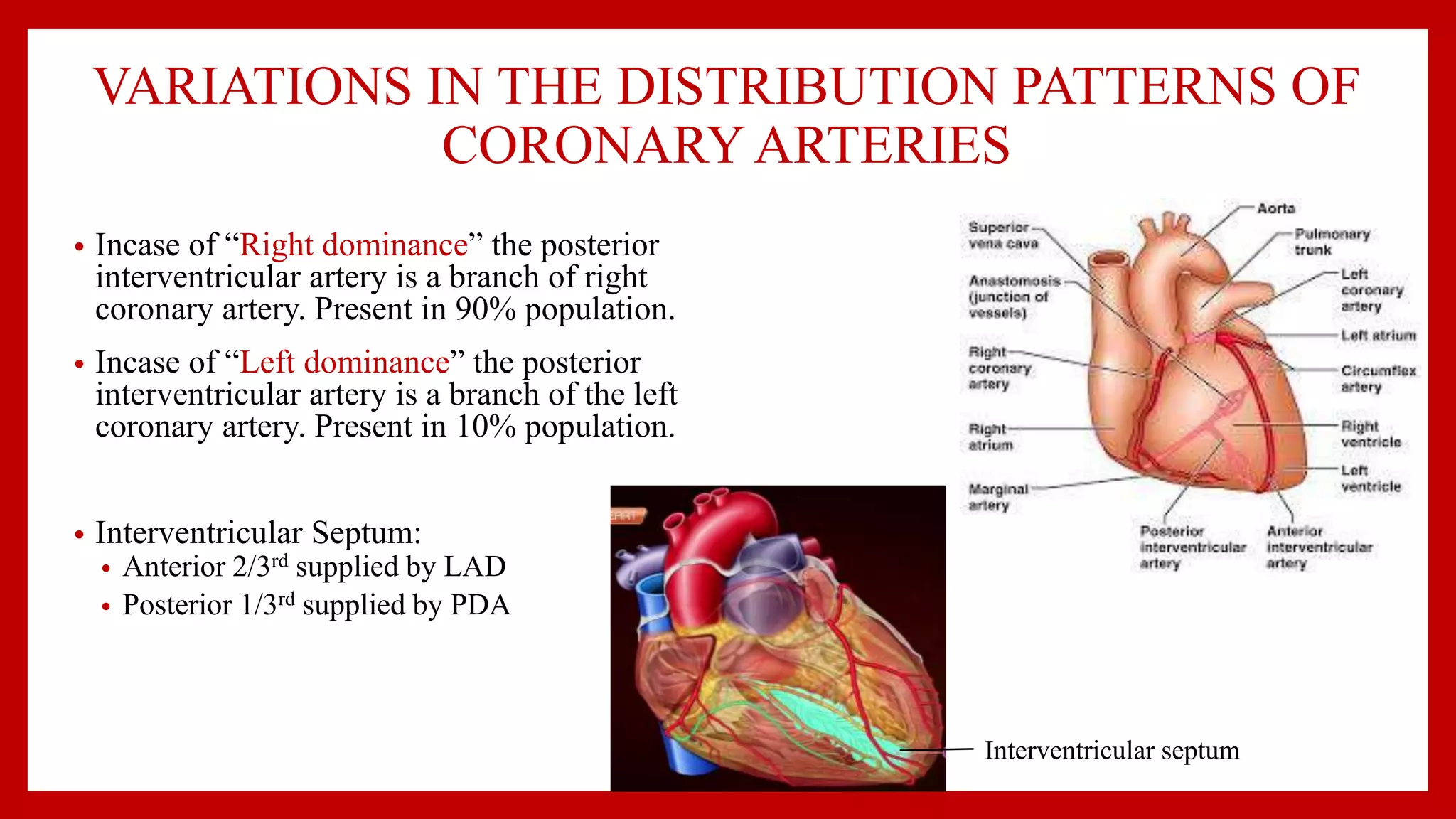 Blood supply and venous drainage of heart | PPTX