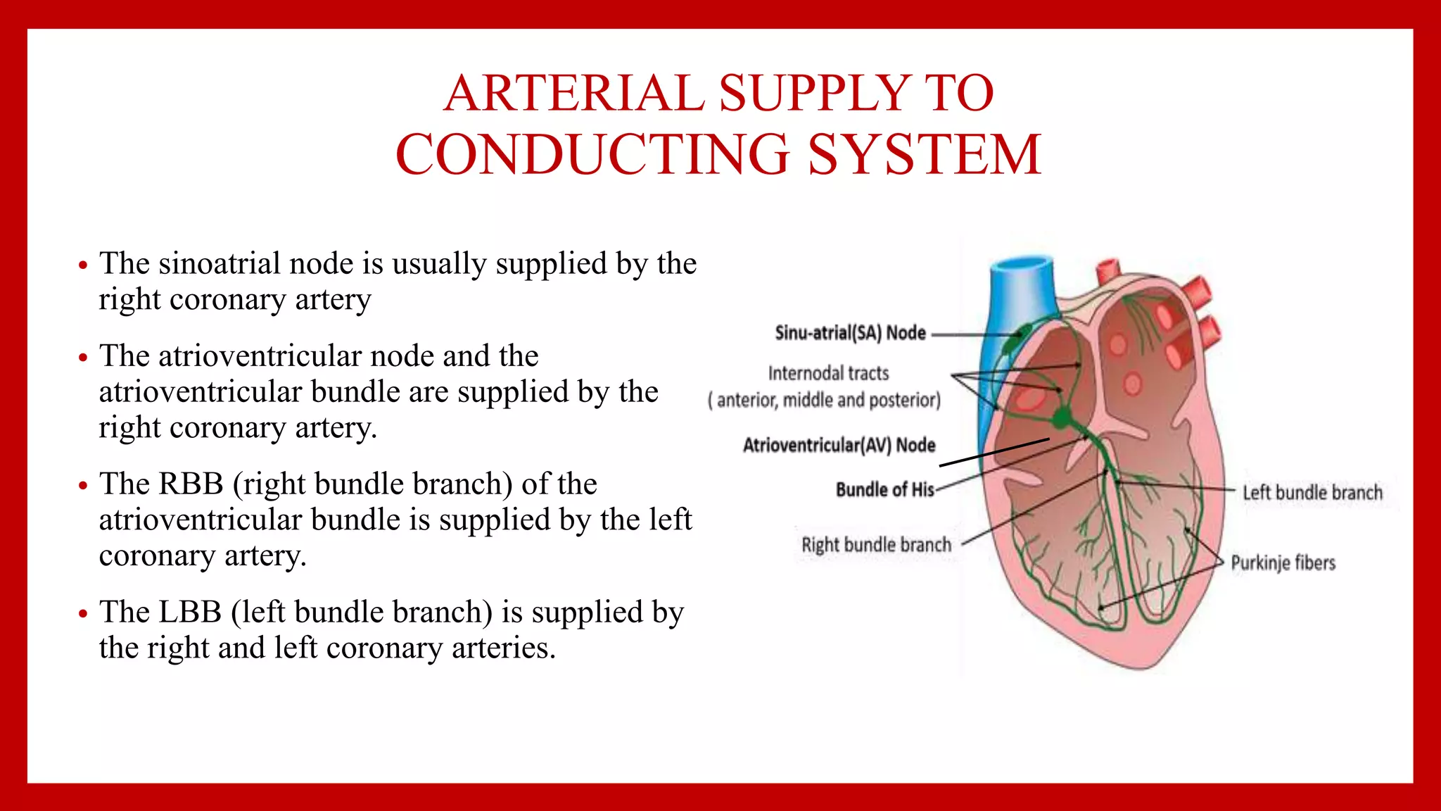 Blood supply and venous drainage of heart | PPTX