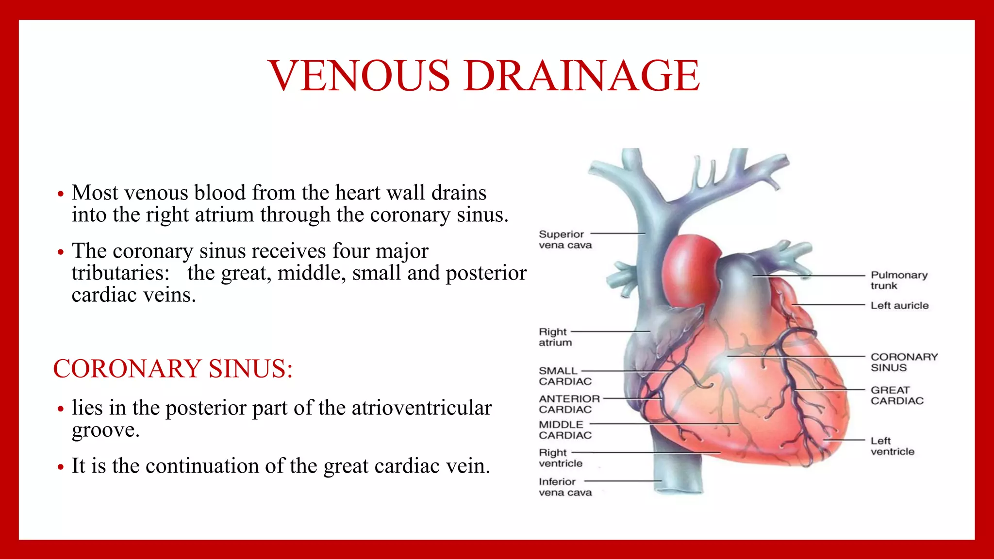 Blood supply and venous drainage of heart | PPTX
