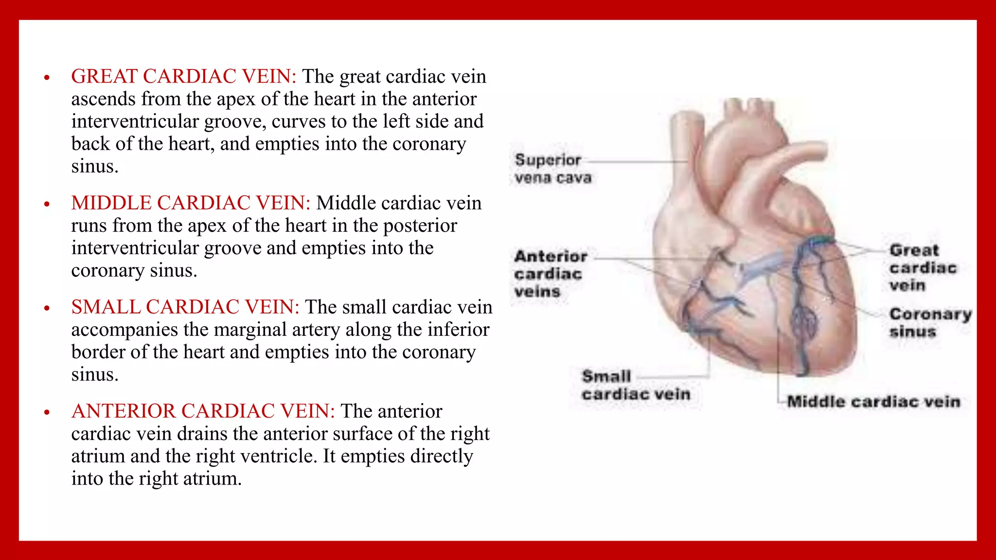 Blood supply and venous drainage of heart | PPTX